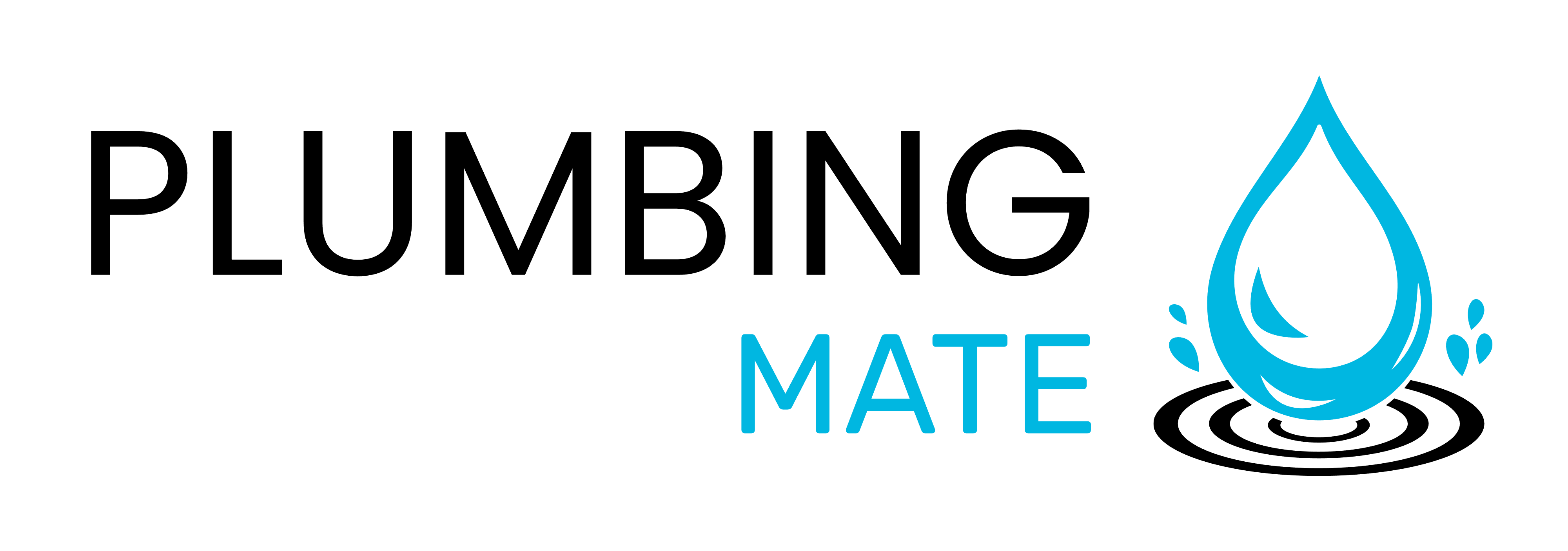 Expert Plumbing Services In Ottawa Plumbing Mate Ottawa